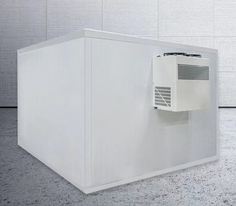 Custom Sizes Available 10ft 20ft 40ft Container Cold Room with Cold ...